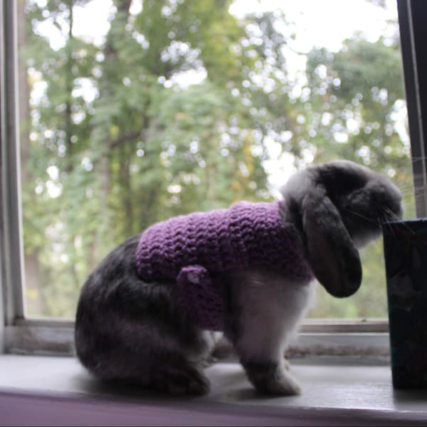 Rabbit Clothes, Rabbit Sweater, Rabbit Costume, Sweater for Bunny ...