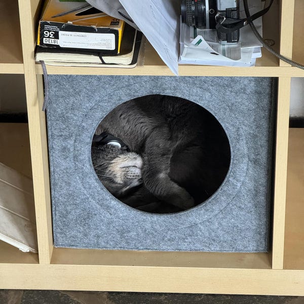 Handmade Felt Cat Cave: IKEA Kallax Insert, Cozy Pet Bed - Etsy UK