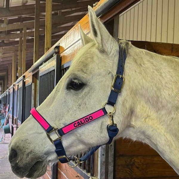 Personalized Nylon Sheep Halter - Etsy