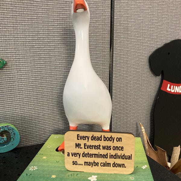 Emotional Support Desk Goose, Customized Sign, Stand for ...