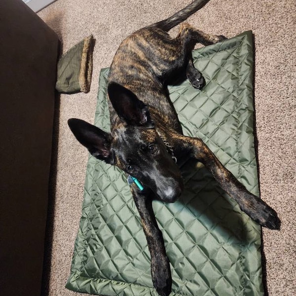 Dog Mat, Dog Settle Mat, Snack Mat, Picnic Mat, Easy to Clean Mat ...