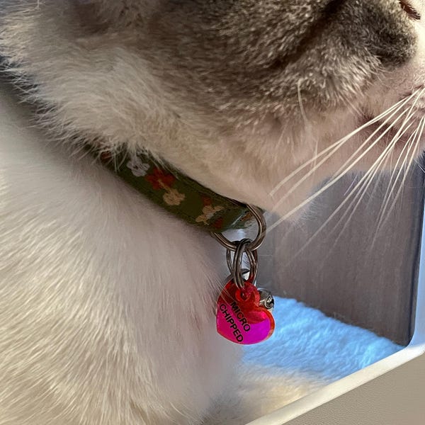 T-shirt Slide Ring, Scarf Ring, 80's 90's T-shirt Ring, Retro Clip ...