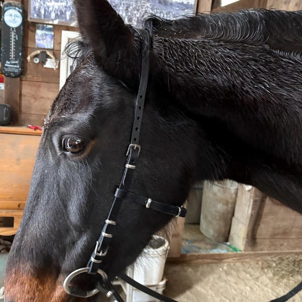 Anatomical French Bridle Lazypony With Reins, Leather Custom Bridle ...