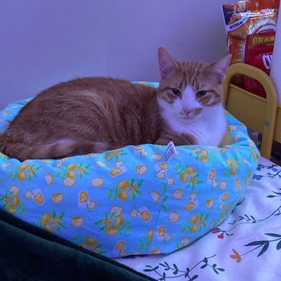 Flannel Cat Bed Lemon Cat Bed , Flannel Bed, Machine Washable Cat Bed ...