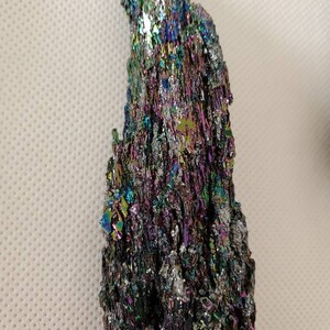 Groundhog Woodchuck Bones Full Skeletons Juvenile Adult Sold - Etsy