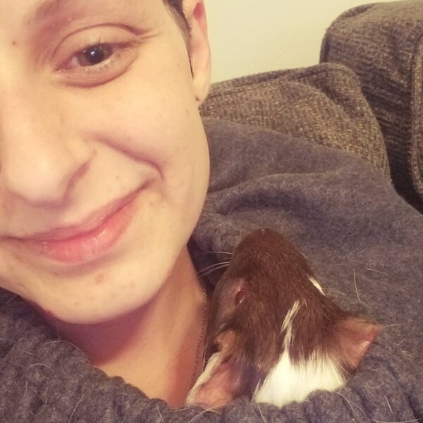 Ratoob, Dark Gray - Etsy