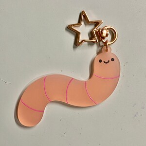 Cute Worm Keychain 3 in Single-sided Kawaii Charm Frosted Pink Acrylic ...