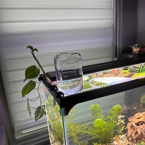 Adjustable Betta Hoop Betta Olympics Training Beginner - Etsy