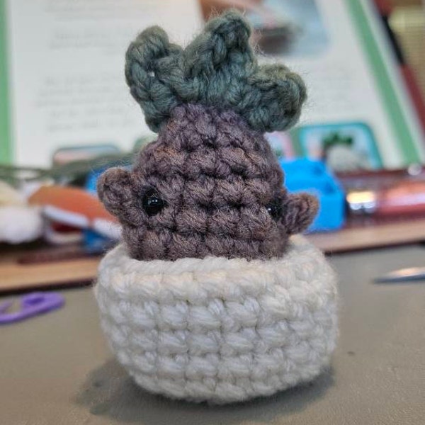 No Sew Cactus Pop-up Crochet Pattern Amigurumi Plant Pattern - Etsy