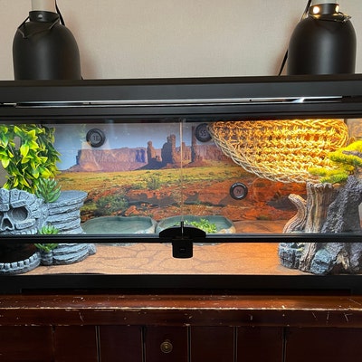 50 Gallon Glass Tank Background Petbackdrops Red Desert Tank Background ...