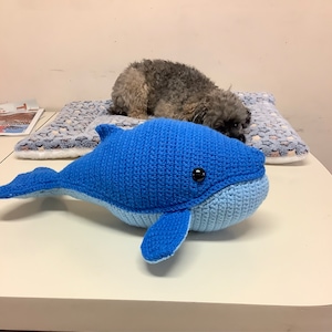 Amigurumi Crab No Sew Crochet Pattern and 6 Video Tutorials, Sea ...