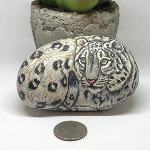 Cow Painted Rocks Farm Animal Painted Stones for Home Decor - Etsy