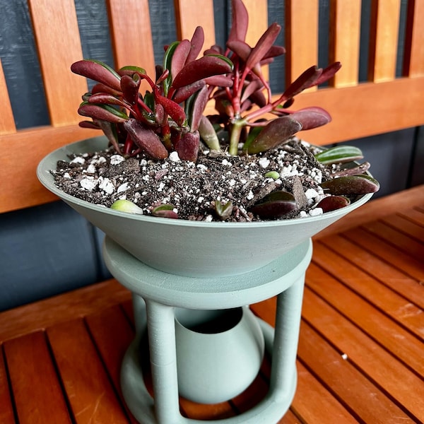 The FUNNEL Planter With Stand and Water Catch for Indoor House Plants ...