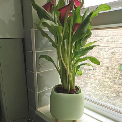 Pastel Coloured, Rounded Cube Pot, Planter, Pot With Feet, Coloured Pot ...