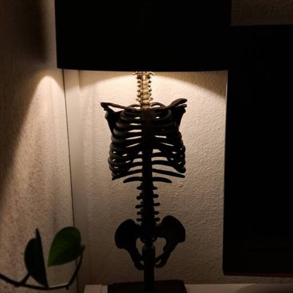 The Skeleton Table Lamp by the Blackened Teeth | Ribcage Lamp | Gothic ...