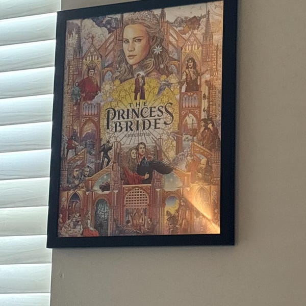 The Princess Bride, Digital Downloadable Printable Movie Poster - Etsy