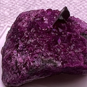 Shattuckite Polished Pieces, Beautiful Blue, With Cuprite, Quartz And ...