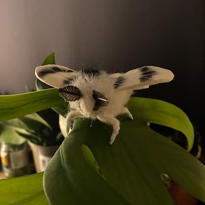 Rosey Maple Moth, Moth Figurine, Decoration, Needle Felted, Realistic ...