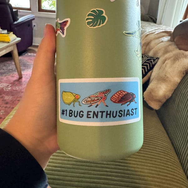 Number 1 Bug Enthusiast Iron-on Patch / Entomologist / Entomology ...