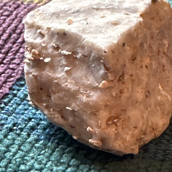 Rare! Botryoidal Petrified Wood! Chalcedony Agate Opal 200 Million Year ...