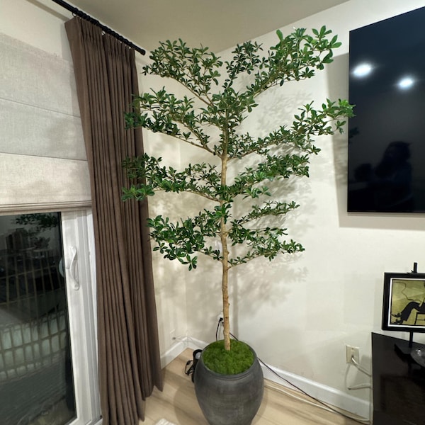 Faux Black Olive, Shady Lady Tree 7’ Tall UV Treated - Etsy