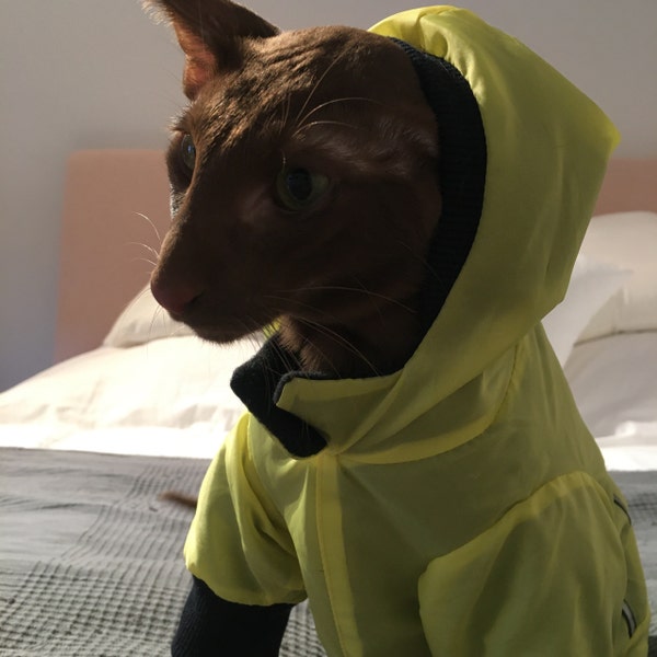 Clothes for Cats, Cat Bathrobe: Handmade Luxury for Your Feline Friend ...