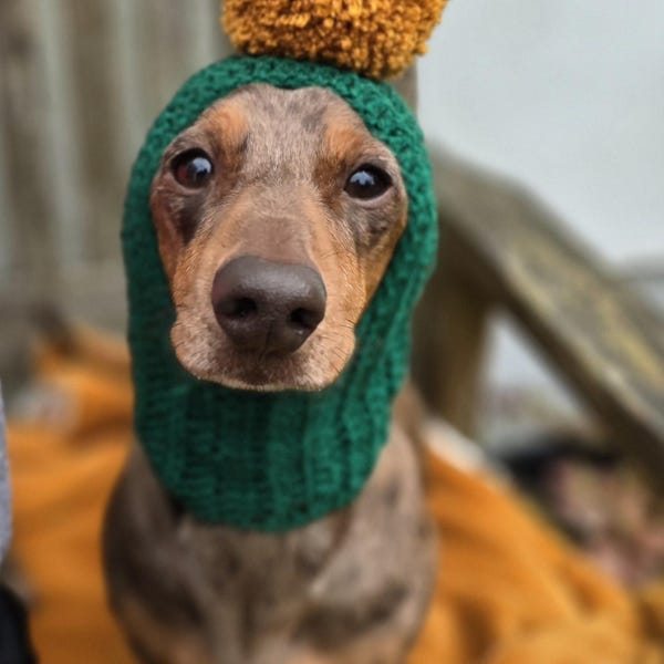 Dog Hood With Covered Ears and Large Pompom. Pompom Hood for Small Dog ...