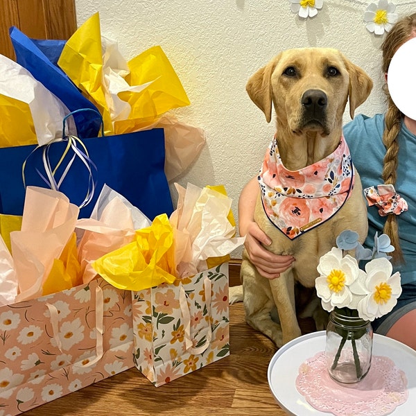 Chambray Pumpkin Bandana // Harvest, Pumpkins // Khaki, Orange ...