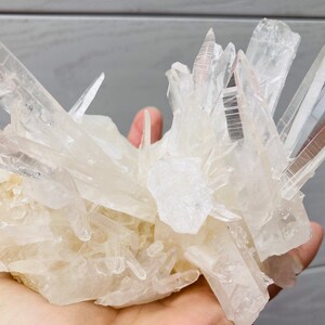 Black Obsidian Toothless Dragon Carving Crystal HTTYD Figurine | Etsy