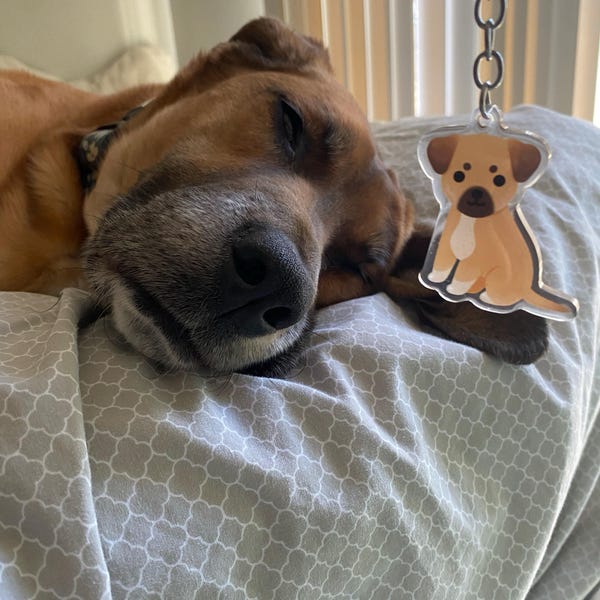 Ornate Uromastyx Lizard Waterproof Vinyl Sticker | Kawaii Chibi Animal ...