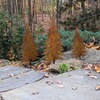 Metal Rustic Hemlock Christmas Tree Yard Art- Garden Decoration Winter ...