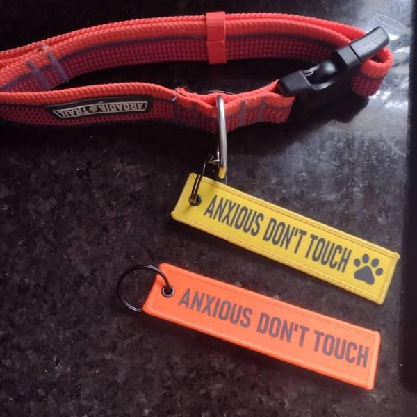 INSERT BEFORE FLIGHT Custom Key Tag | Personalized Double-sided Jet Tag ...