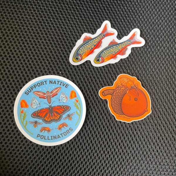 Number 1 Bug Enthusiast Iron-on Patch / Entomologist / Entomology ...