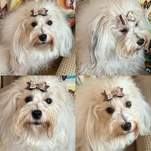 Cute Dog Bows With Pink & Green Floral. Rhinestone Center | Etsy