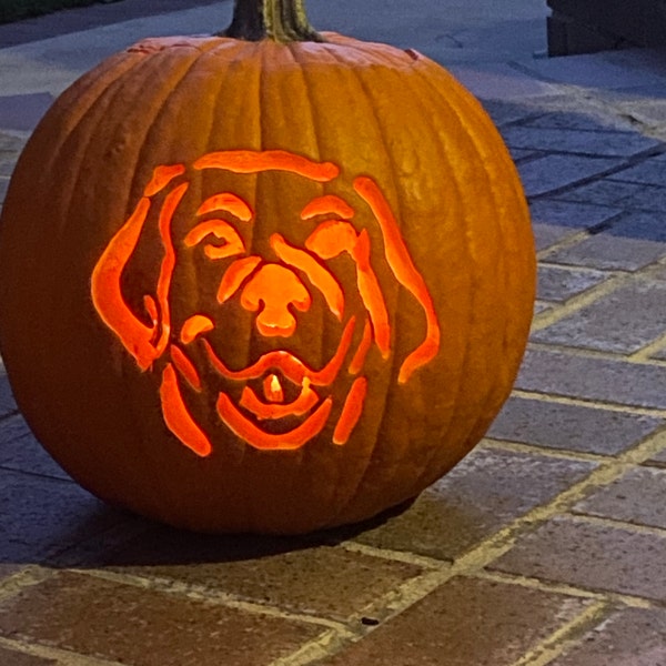 Printable Pumpkin Carving Pattern: Corgi - Etsy