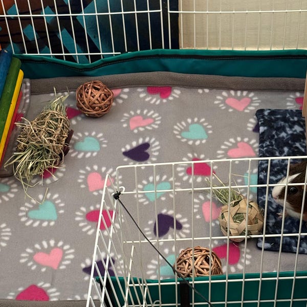 3 Mini Treat Bags. Foraging, Fling and Chew Toys. Rabbit Guinea Pig ...