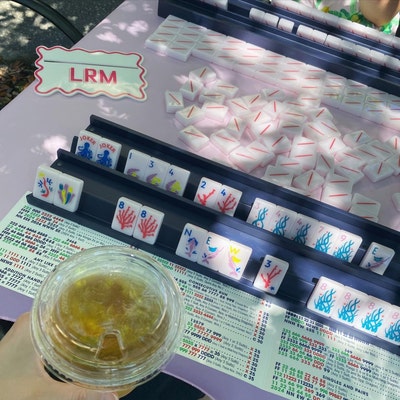 Mahjong Line Reader Accessory great Gift I Can Buy Myself Flower Tiles ...