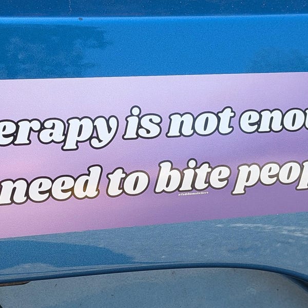 Better Not Be Bumpin' This | Bumper Sticker AND Magnet | Funny Meme ...