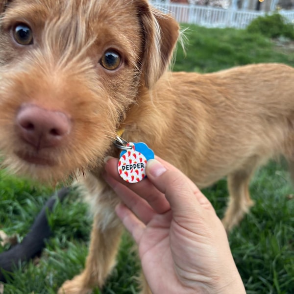 Checker Pet Tag - Customizable Dog ID With Retro Checkerprint Theme ...