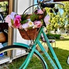 Handlebar Streamers, Blue Bicycle Streamers, Flower Bike Accessory - Etsy