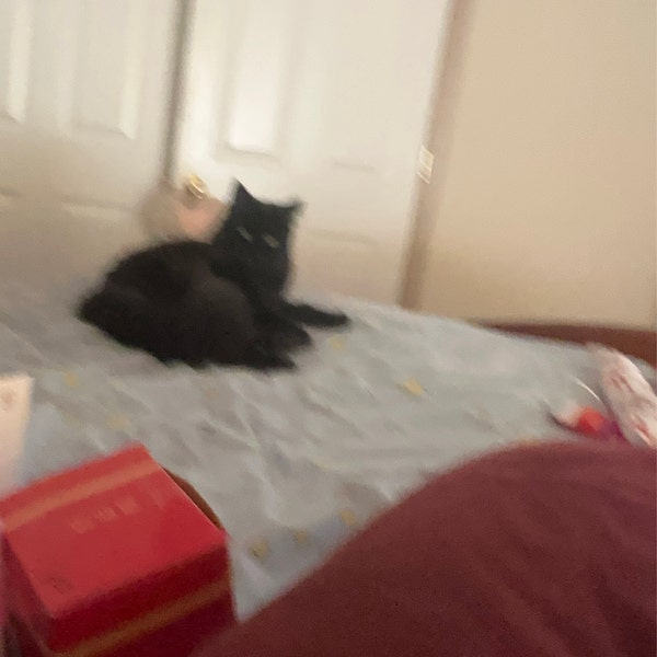 14K Solid Gold Earrings / Triangle Earrings / Solitaire Earrings-black ...