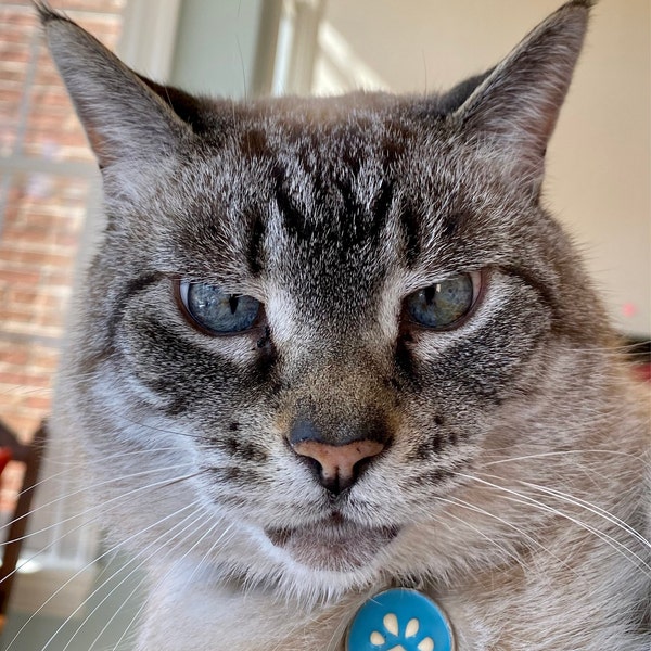 Flash Sale Personalized 3D Throw Face Pillow Customized Soft Face ...