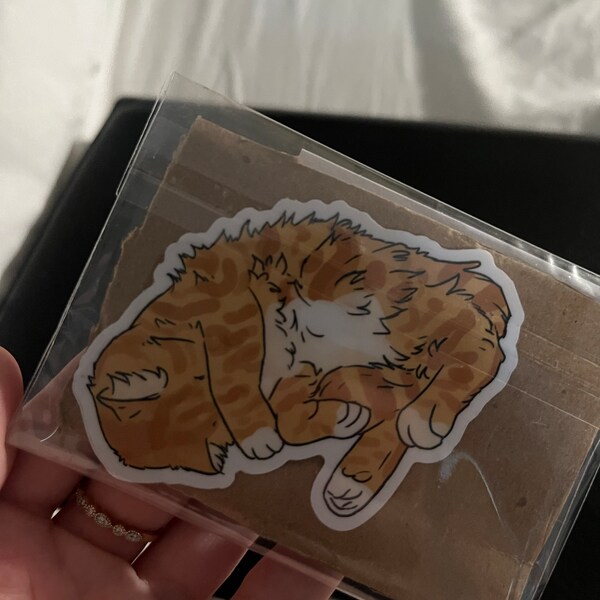 Orange Tabby Cat Sticker, Vinyl Matte Sticker, Waterproof Dishwasher ...
