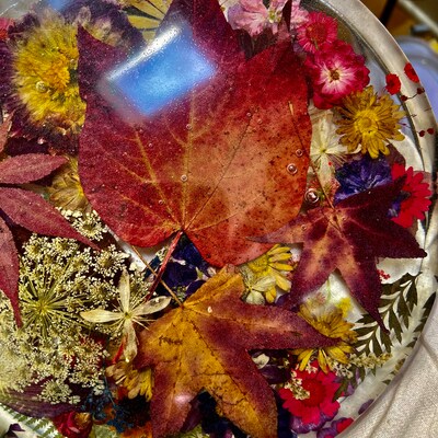 Fall Assorted Leaves 100, Leaves May Vary - Etsy