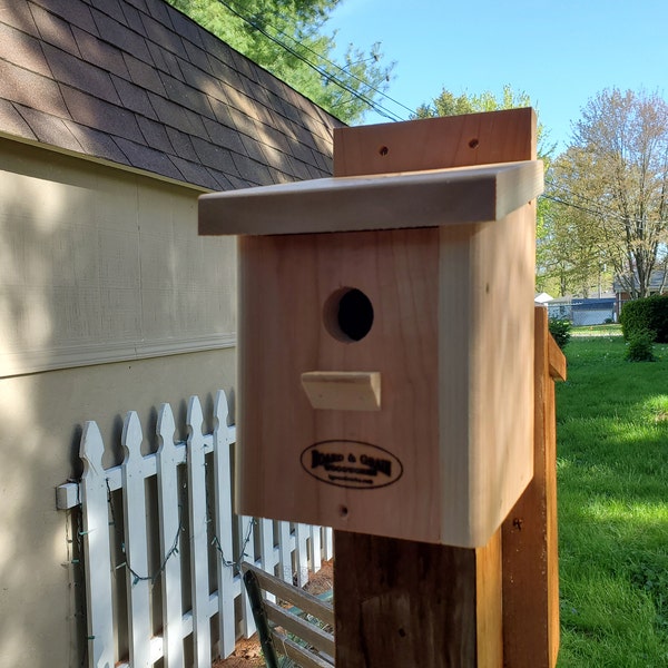 Chickadee & Nuthatch Nest Box Bird House - Etsy