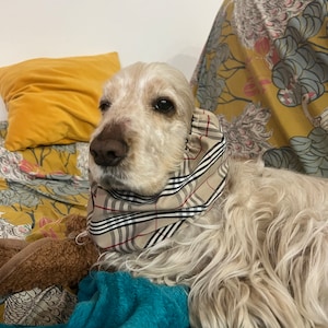 Waterproof Thick Dog Snood , Swimming Cap for Dog , Dog Hat for Snow - Etsy