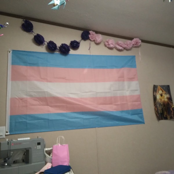 Transgender Pride Flag 3ft X 5ft - Etsy
