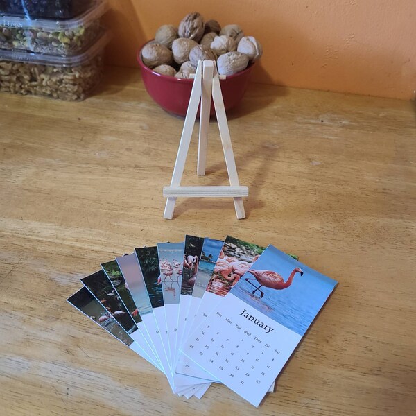 Cavapoo Calendar 2025: Monthly Wall Calendar With Notes, Opens to A3 ...
