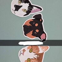 Red Tailed Hawk Sticker, Bird Sticker, Birdwatching Sticker, Birding ...