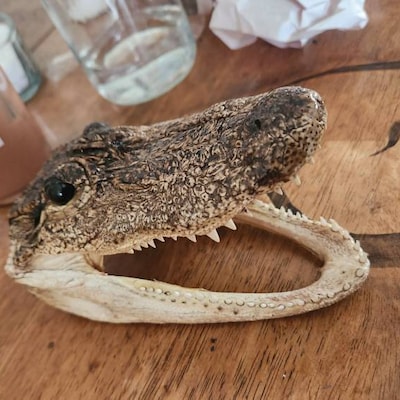 ALLIGATOR BONE DUST Voodoo, Hoodoo, Wicca, Gothic, Oddity - Etsy
